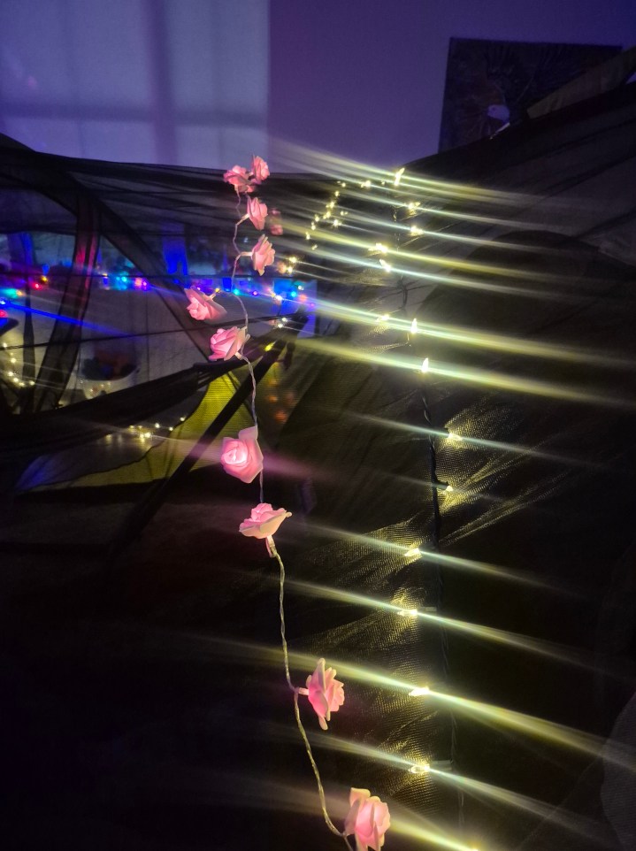 Cozy Coleman Tent: The Art Of The Indoor Campout – Lonisa Mari